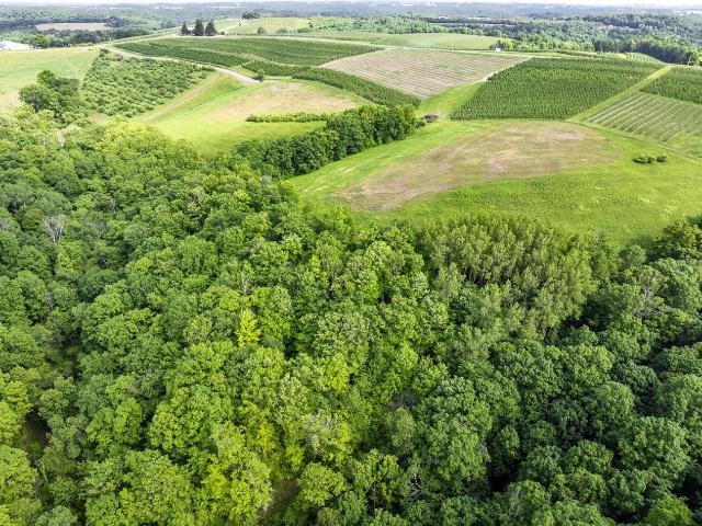 62 acres State Highway 171
