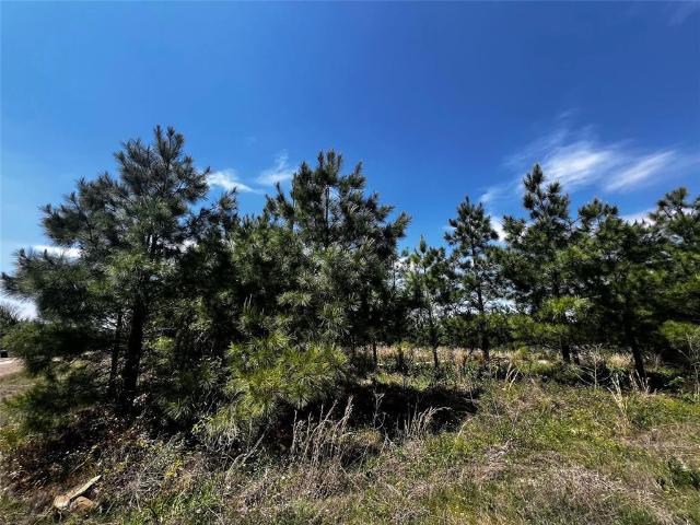 62 BR Johnson Road