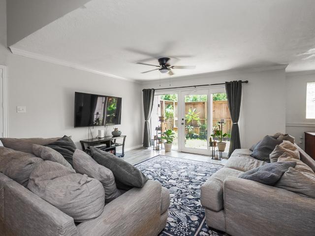62 Chervil Common