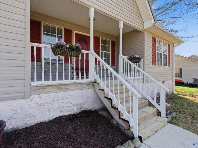 62 Clyde Circle