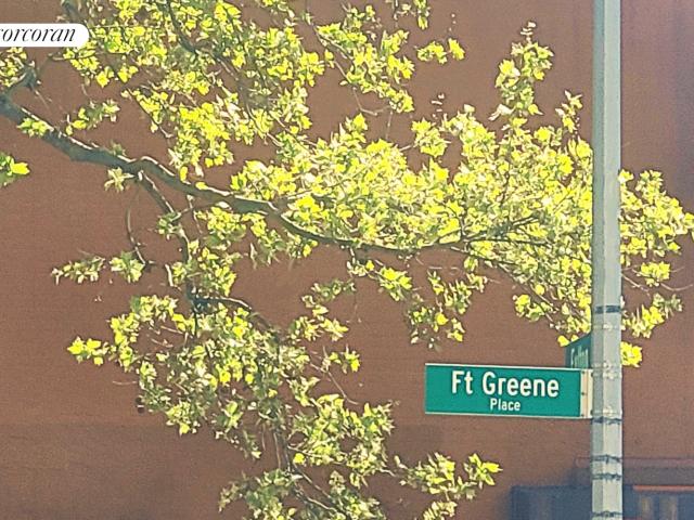 62 Fort Greene Place
