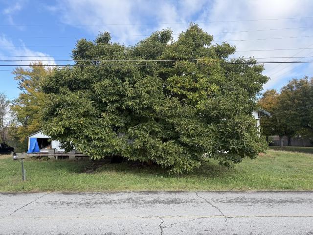 62 High St E