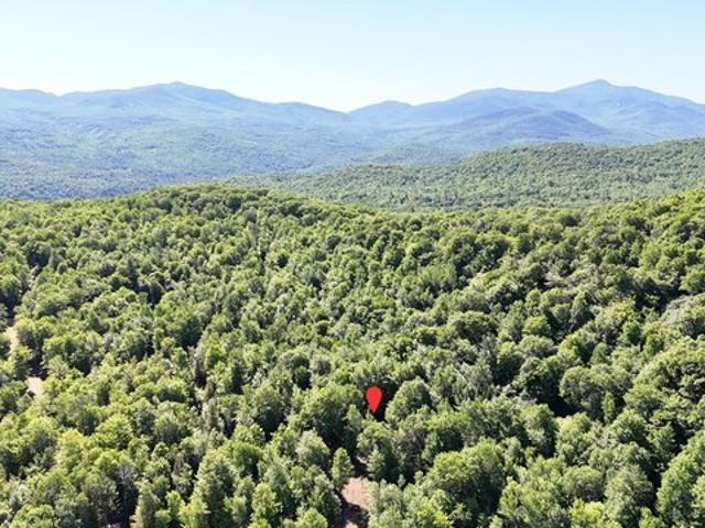 62 Maple Rdg Way, Keene, NY 12942