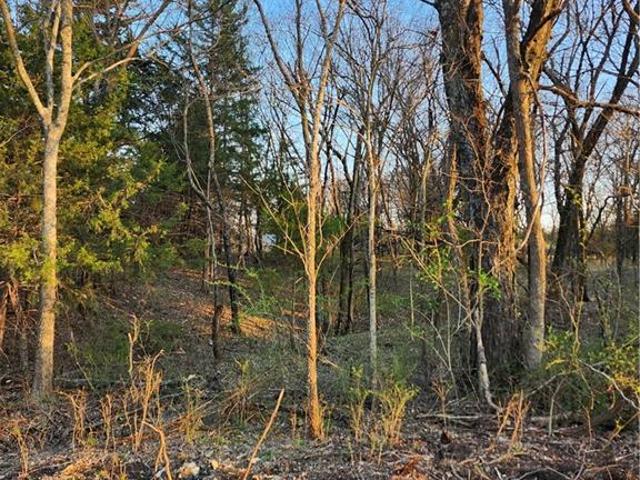 62 S Linn Valley Drive
