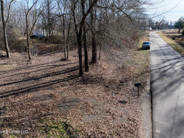 62 Shamrock Loop