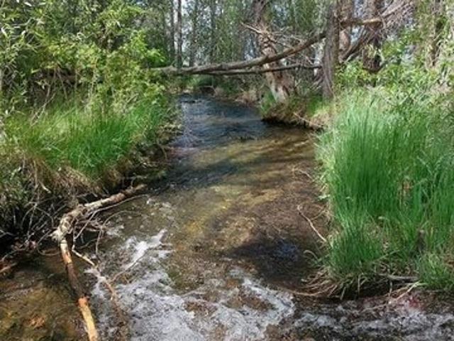 63001 Cc County Rd, CO 81143