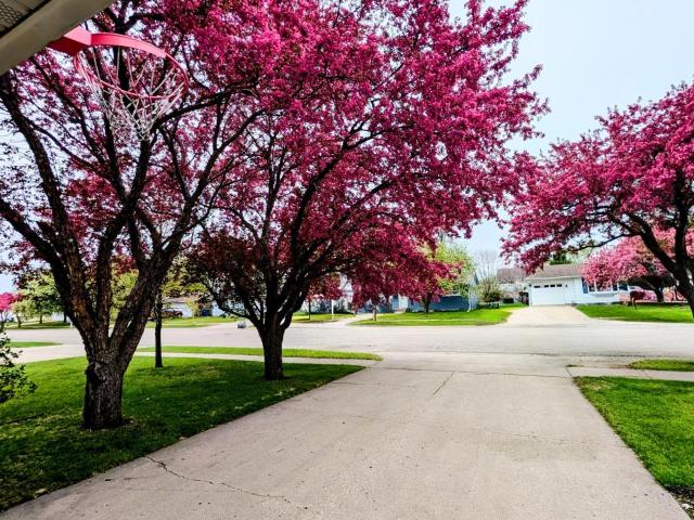 630 Appletree Lane