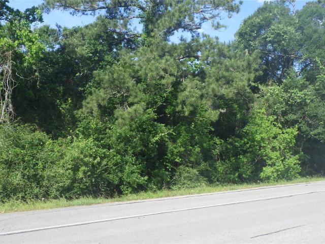 630 Farm to Market 2917, Alvin, TX 77511 | MLS #13762 | Compass