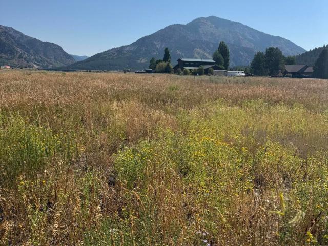 630 Snake River Dr, Alpine, WY 83128 | MLS #25 2141 | Compass