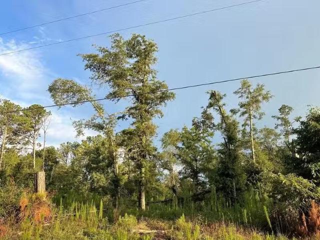 630 Yancey Rd, Covington, GA 30014 MLS 7429110