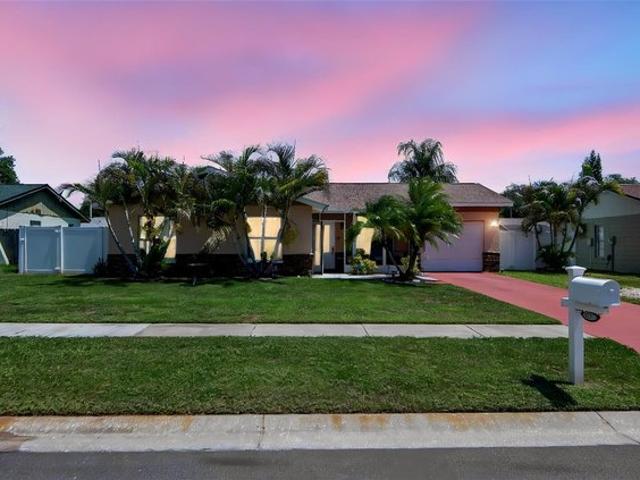 6317 Frost Dr, Tampa, FL 33625