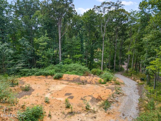 6310 Highway 11 E