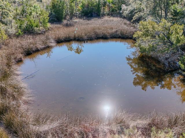 6312 Highway 77, Panama City, FL 32409 | MLS #783768