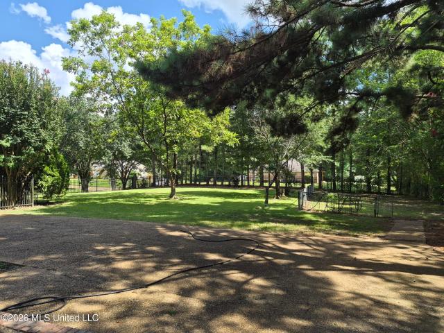 6313 Cedarwood Drive