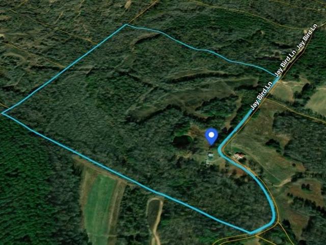 631 Jay Bird Ln, Palmersville, TN 38241