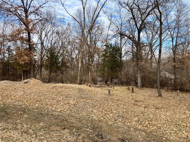 6324 Riverview Ave, Kansas City, KS 66102 | MLS #2604 | Compass
