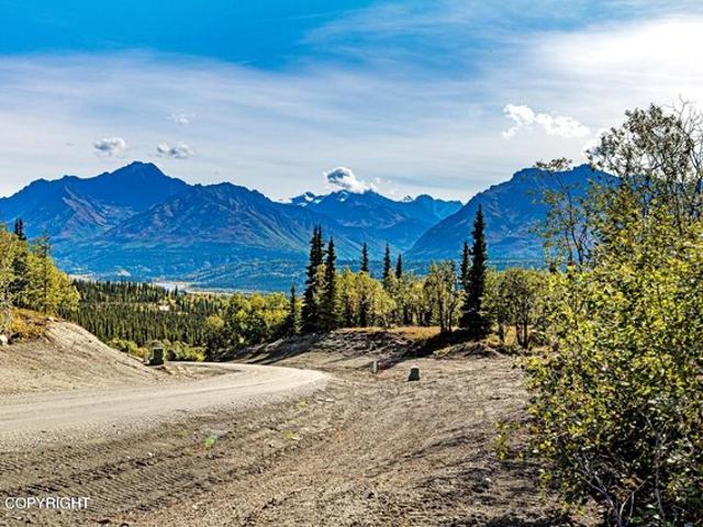 63270 S Red Rooster Rd, Chickaloon, AK 99674