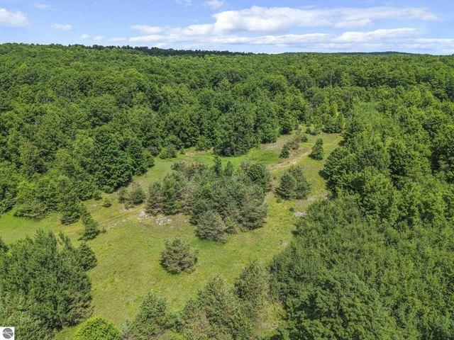 6320 N Morey Rd, Lake City, MI 49651