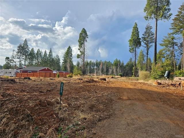 6323 Ponderosa