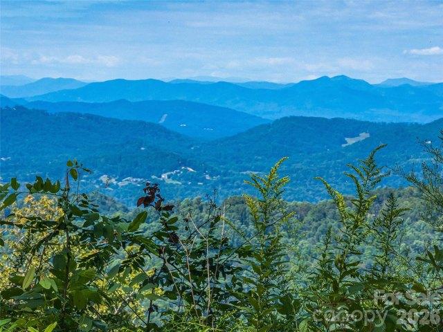 632 Justus Case Mountain Pl, Hendersonville, NC 28792