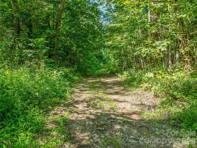632 Justus Case Mountain Pl, Hendersonville, NC 28792 | MLS #4404