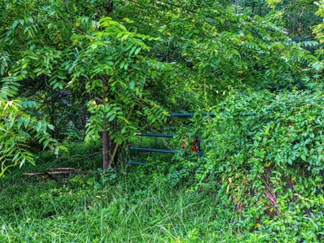 632 N Cherokee St, Jonesborough, TN 37659