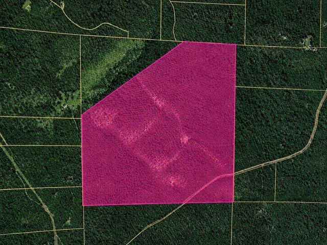632 Private Road 421, West Plains, MO 65775