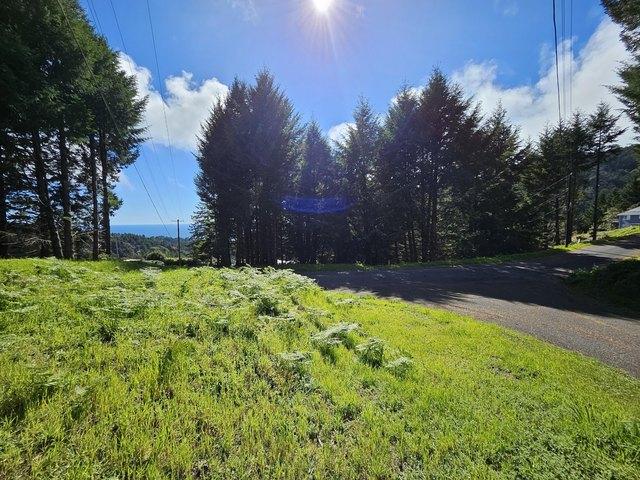 632 Wolverine Way, Shelter Cove, CA 95589
