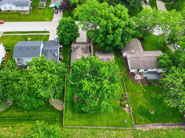6335 Tanbark Trail