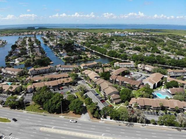 6336 Newtown Circle 36C1, Tampa, FL
