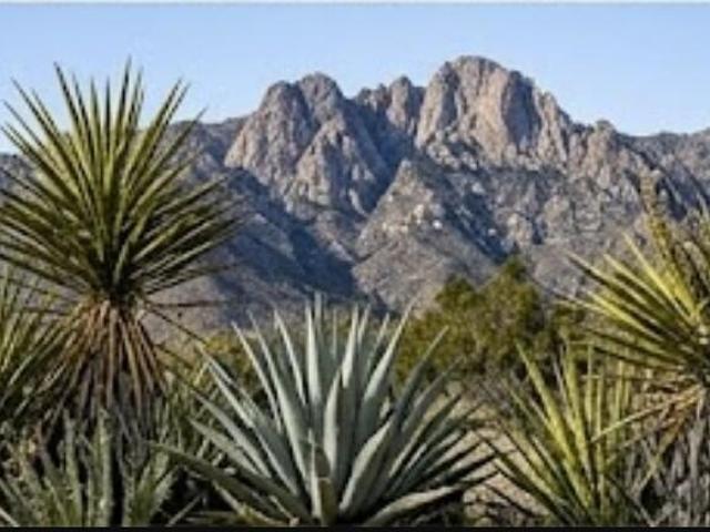 63330 Jeraboa Rd, Mountain Center, CA 92561