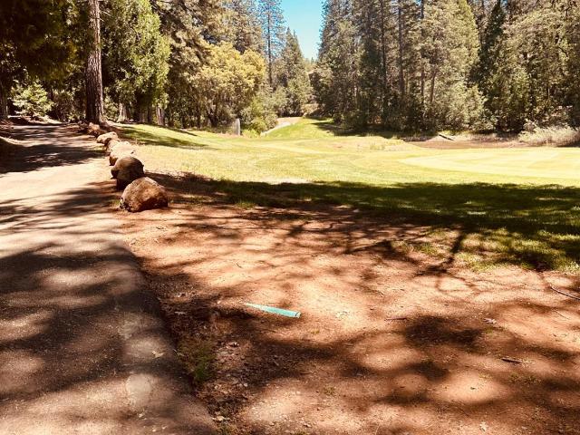 633 Forest Meadows Dr, Murphys, CA 95247 | MLS #226040