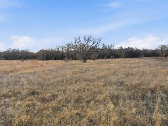 633 N Stallion Meadows Dr, Perrin, TX 76486 | MLS #21262