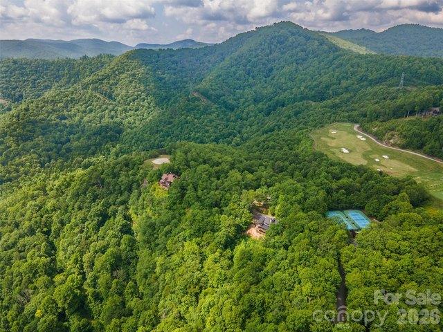 633 Steeplebush Ct, Tuckasegee, NC 28783