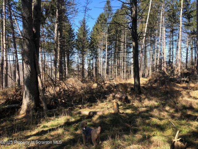 634 Lily Lake Rd, Lot 3, Dalton, PA 18414 | MLS #SC3605 | Compass