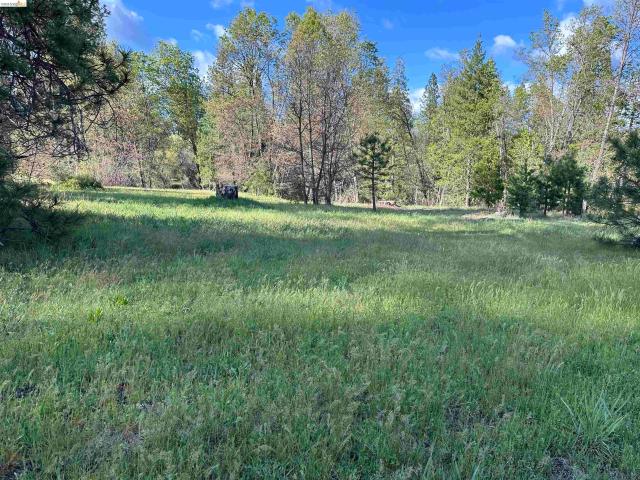 6354 Lone Oak Dr, Coulterville, CA 95311 | MLS #41131 | Compass