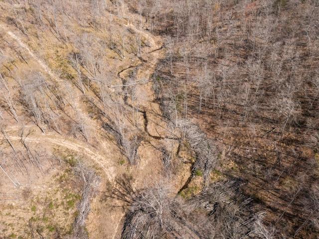 635 Cane Creek Rd, Hohenwald, TN 38462 | MLS #3182