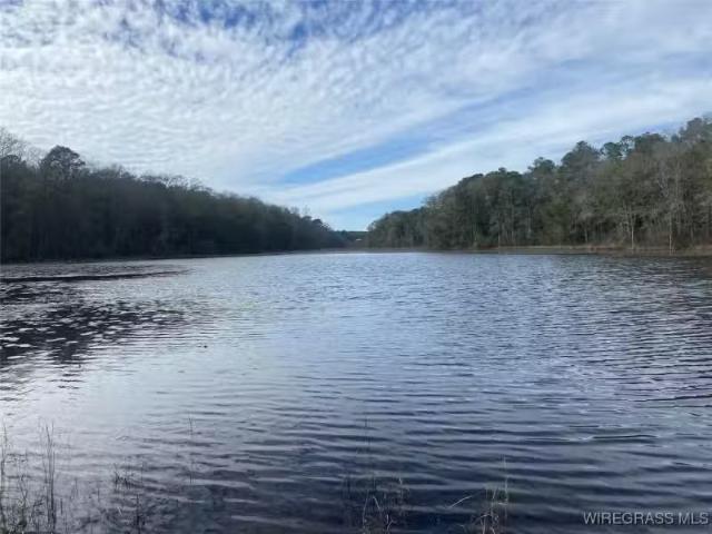 635 LESSIE CULPEPPER ROAD, COFFEE SPRINGS, AL 36318
