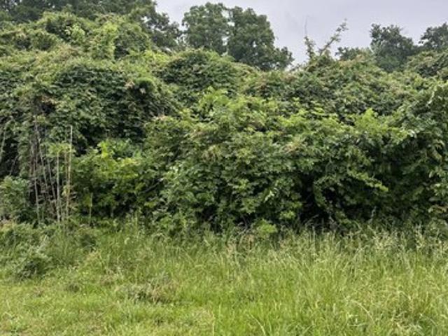 635 Purdy Rd, Selmer, TN 38375