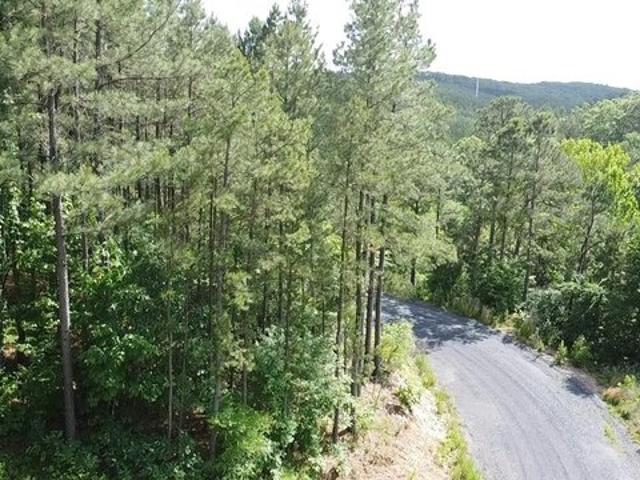 635 Virginia Pine Pl, Broken Bow, OK 74728