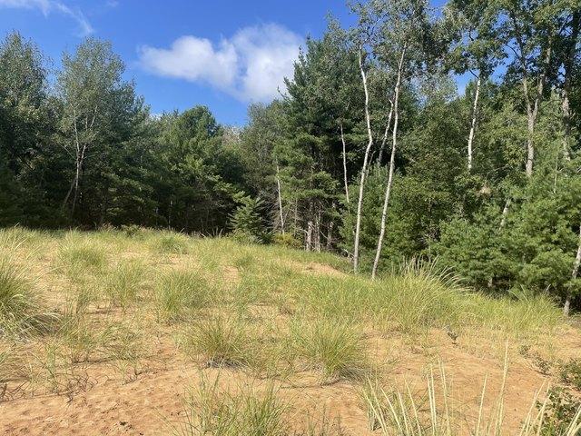 6367 N Dune Grass Trl, Hart, MI 49420