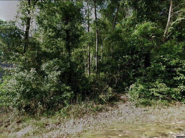 6370 E Oneida St, Inverness, FL 34452