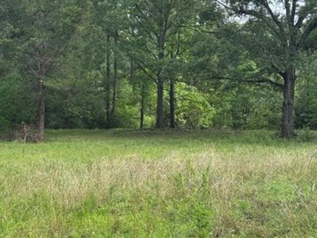 6370 FM 1374 Rd, New Waverly, TX 77358