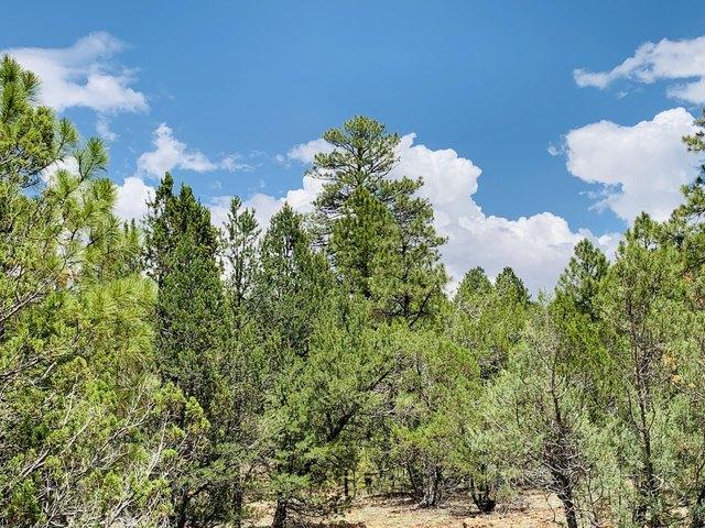 6373 Whispering Pine Dr Lot 47, Happy Jack, AZ 86024