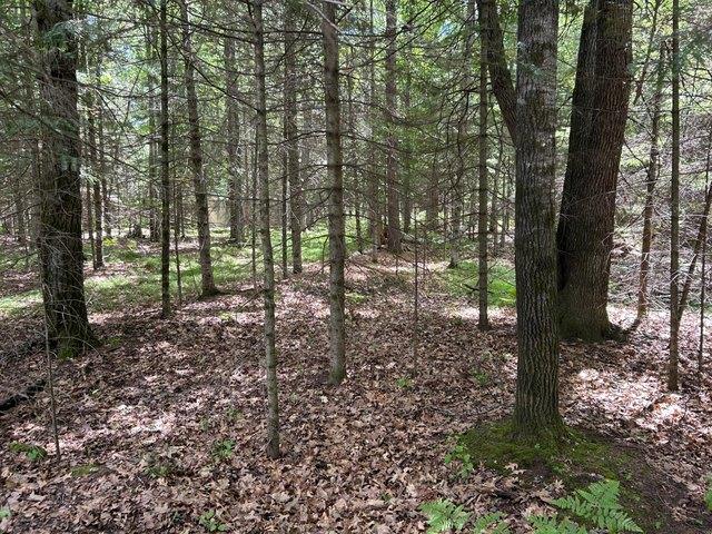 6389 Cth J, Saint Germain, WI 54558