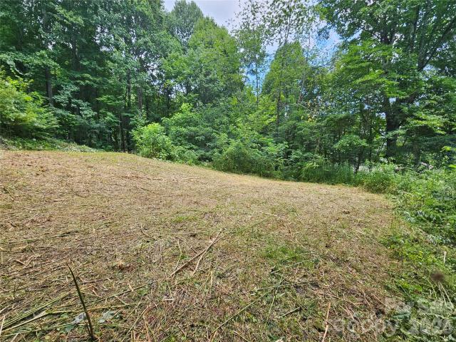 638 Crystal Tree Drive