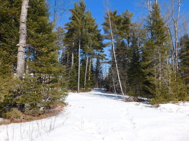 638 Greenfield Rd, Greenbush, ME 04418