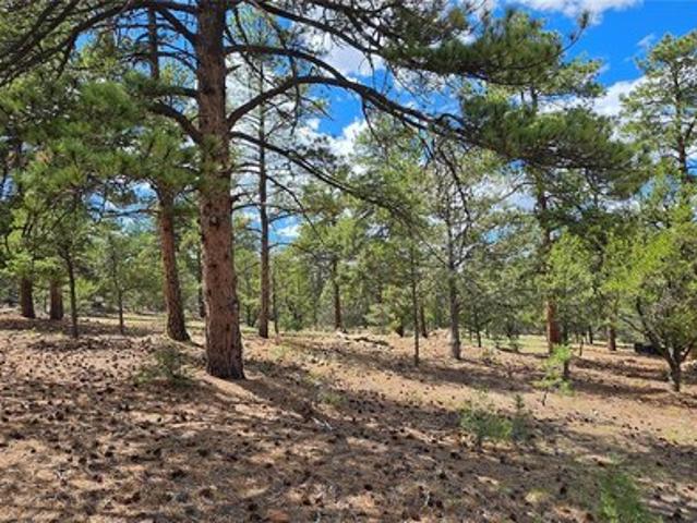 638 Keith Ln, Cotopaxi, CO 81223