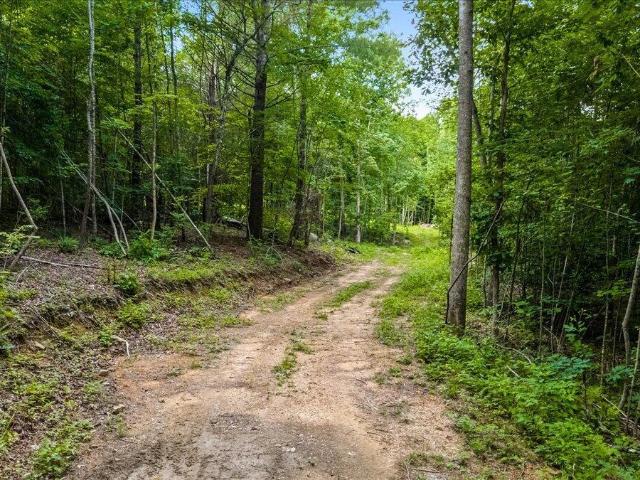 638 Jane Phillips Rd