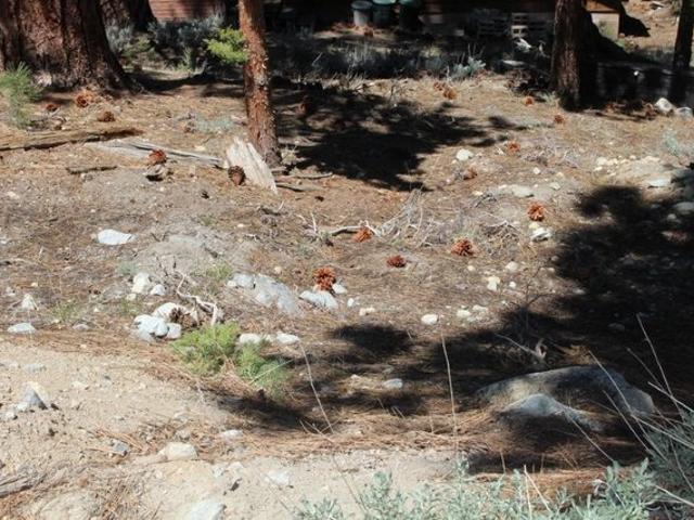 638 Piute Dr, June Lake, CA 93529